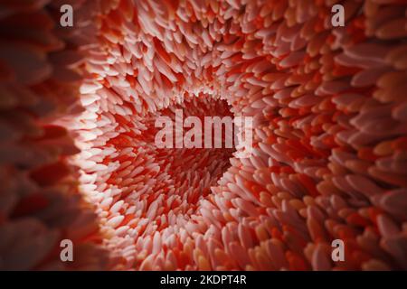 Microvilli on surface of digestive system or intestinal tract. 3D ...