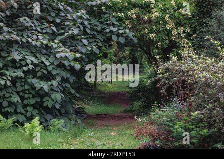 The Arboretum of the Warsaw University of Life Sciences botanical ...