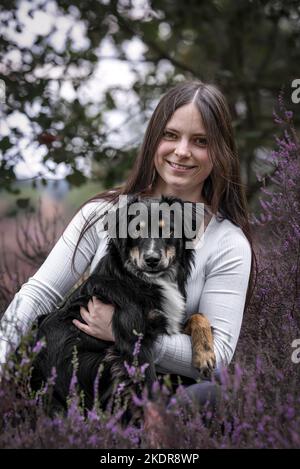 Australian Shepherd (male), Miniature Australian Shepherd and ...