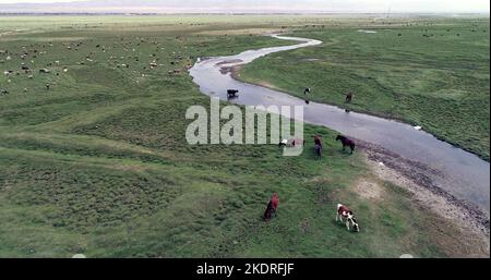Xinjiang barkol: meander of the grasslands Stock Photo - Alamy