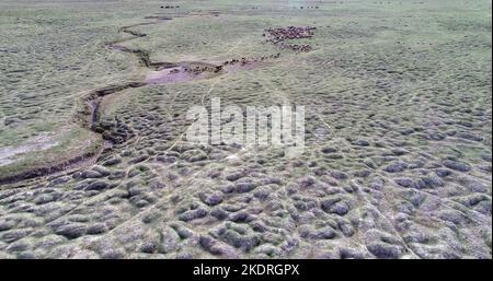 Xinjiang barkol: wetland grassland of drought Stock Photo - Alamy