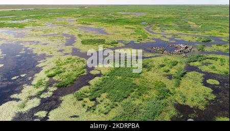 Aerial in Inner Mongolia were ulam 4 national wetland park, beautiful ...