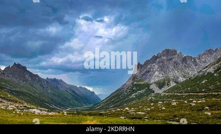 Aba lotus treasure is Stock Photo - Alamy