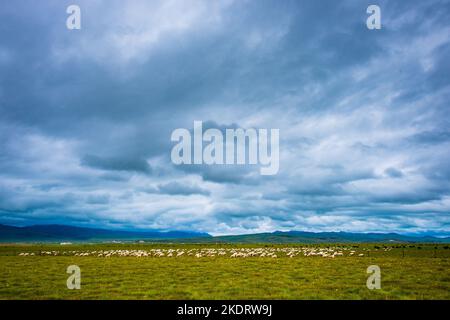 Michael tang highway Stock Photo - Alamy