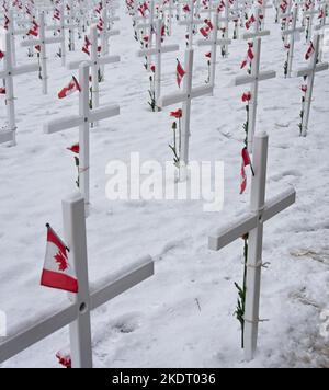 Remembrance Day Calgary Alberta Stock Photo - Alamy