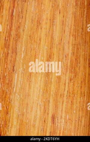 Macro photography of a stabilized wooden block with a color dye, The ...