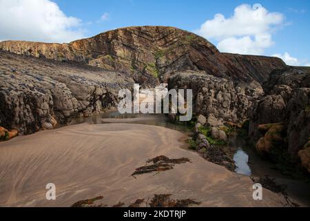 Folded rocks caused by the movement of tectonic plates, Bude Formation ...