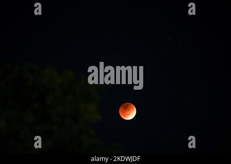 San Salvador, El Salvador. 8th Nov, 2022. A total lunar eclipse seen ...