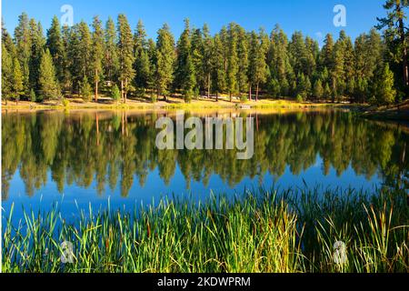 Walton Lake, Ochoco National Forest, Oregon Stock Photo - Alamy