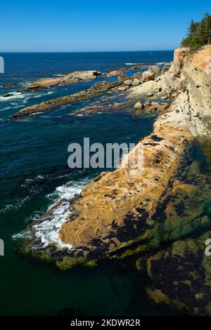 Coastal bluff views, Shore Acres State Park, Oregon Stock Photo - Alamy