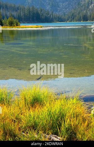 Little Three Creek Lake, Deschutes National Forest, Oregon Stock Photo ...