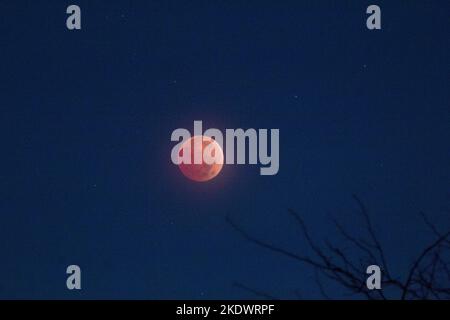 Lunar Eclipse, November 8, 2022, Columbus, Ohio Stock Photo - Alamy