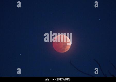 Lunar Eclipse, November 8, 2022, Columbus, Ohio Stock Photo - Alamy