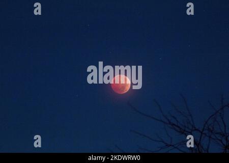 Lunar Eclipse, November 8, 2022, Columbus, Ohio Stock Photo - Alamy