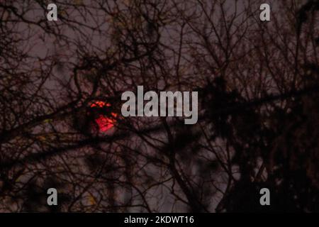Lunar Eclipse, November 8, 2022, Columbus, Ohio Stock Photo - Alamy