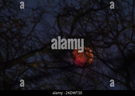 Lunar Eclipse, November 8, 2022, Columbus, Ohio Stock Photo - Alamy