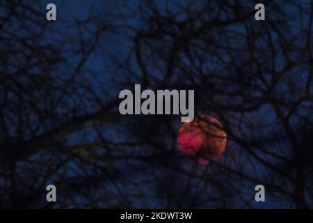 Lunar Eclipse, November 8, 2022, Columbus, Ohio Stock Photo - Alamy