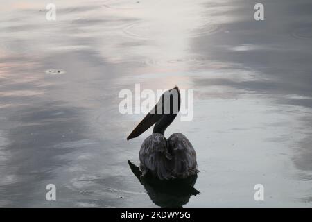 The Pettah Floating Markets, Colombo, Sri Lanka Stock Photo - Alamy