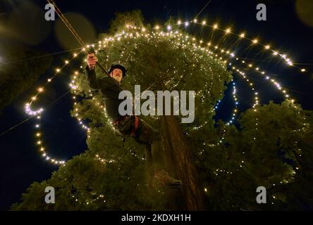 Russell Croft, Arboretum manager at Wakehurst, climbs the UK's tallest ...
