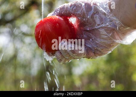 Washing tomato under flowing water outdoors Stock Photo - Alamy