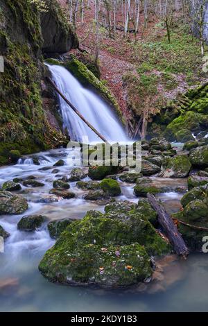 Waterfall in a luxuriant canyon covered in moss and lush vegetation ...