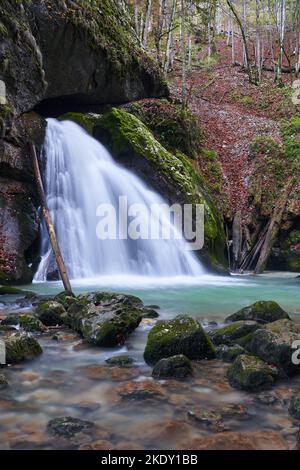 Waterfall in a luxuriant canyon covered in moss and lush vegetation ...