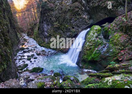 Waterfall in a luxuriant canyon covered in moss and lush vegetation ...
