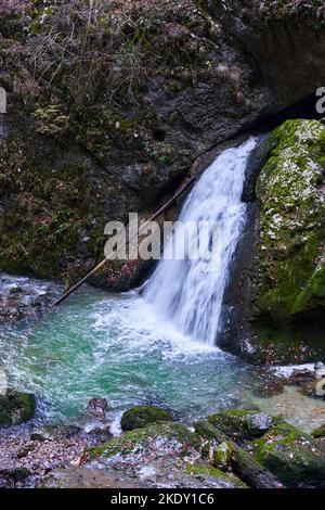 Waterfall in a luxuriant canyon covered in moss and lush vegetation ...