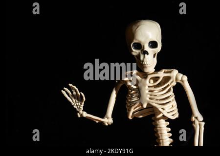Human Skeleton waving greeting hand isolated on black background. Day ...