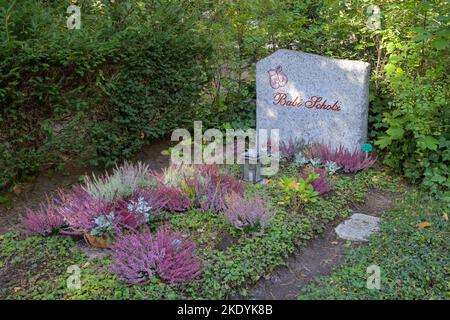 Grab Boxer Bubi Scholz, Friedhof Heerstraße, Westend, Charlottenburg ...