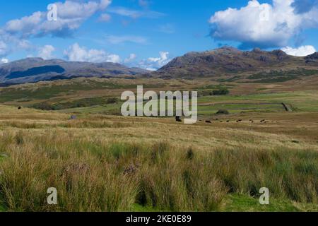 Barren Landscape in the Southern Fells Cumbria England Stock Photo - Alamy