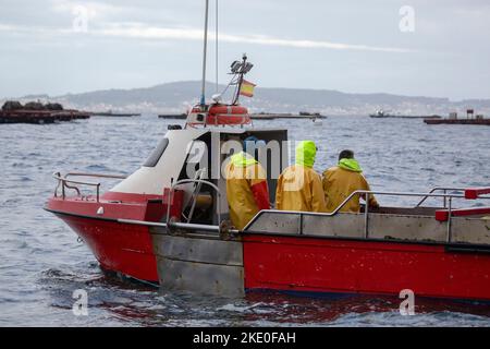 Inshore fishing sailors fish in their traditional wooden boat in the ...