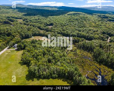 An aerial view of a forest with a modern custom new England colonial ...