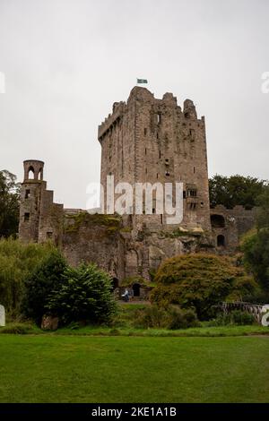 An old castle surrounded by trees Stock Photo - Alamy
