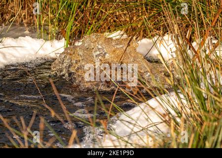 Close-up of a water source that blows up bubbling water. Spring, snow ...