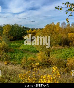 Autumn landscape of the Sablinsky Reserve in the Leningrad Region Stock ...