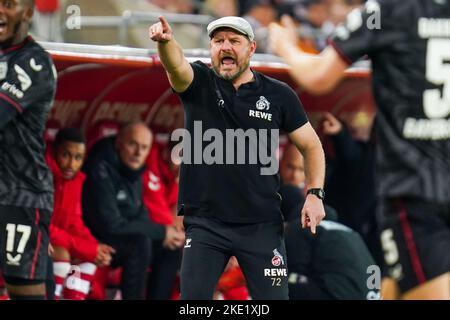 COLOGNE, GERMANY - NOVEMBER 9: coach Steffen Baumgart of 1. FC Koln ...