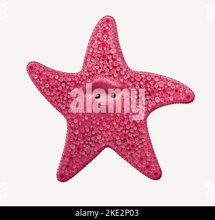 PEACH, FINDING NEMO, 2003 Stock Photo - Alamy
