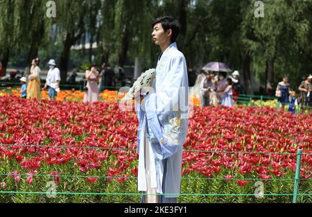 The 2nd Lily Han Culture Festival opened at Huatian Square on the bank ...