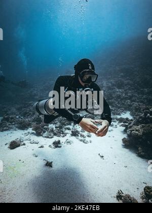 A vertical shot from the depths of the Red Sea and a scuba diver ...