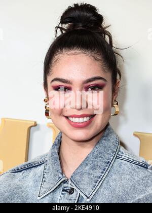CENTURY CITY, CA - NOVEMBER 09: Michael Handelman, David Guion and ...