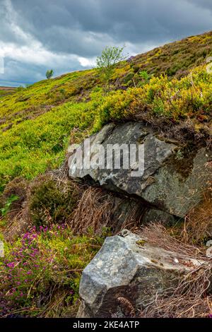 Stormy skies above Ainthorpe Rigg near Danby in the North York Moors ...