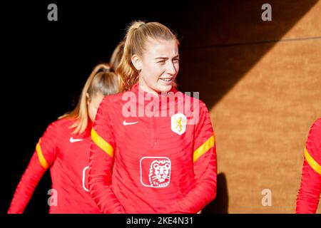 ZEIST, NETHERLANDS - NOVEMBER 10: Lisa Doorn of the Netherlands and ...