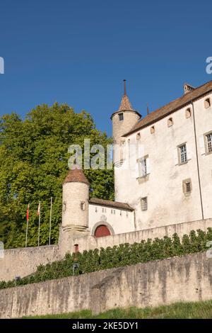 Oron castle, Chateau d'Oron, Oron-le-Chatel, Vaud, Switzerland Stock ...