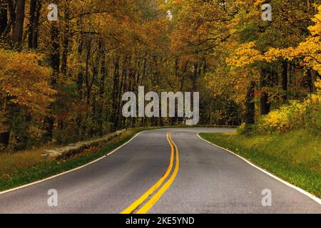 The Skyline Drive route surrounded by beautiful trees at the Shenandoah ...