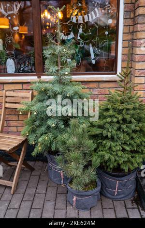 Bench near Christmas cafe bakery at snowy street Stock Photo - Alamy