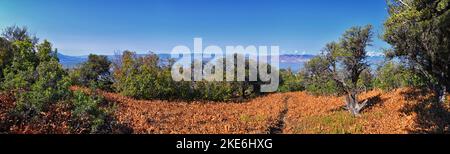 Deseret Peak views hiking by Oquirrh Mountain Range Rocky Mountains ...