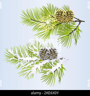 Conifer and pine branches watercolor set for decoration winter ...