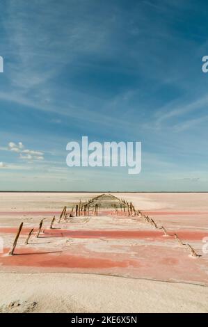 Salt lagoon,Dunaliella salina coloration, La Pampa, Argentina Stock ...