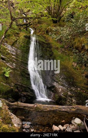 Holme Force, Holme Wood, Loweswater, Lake District, Cumbria Stock Photo ...